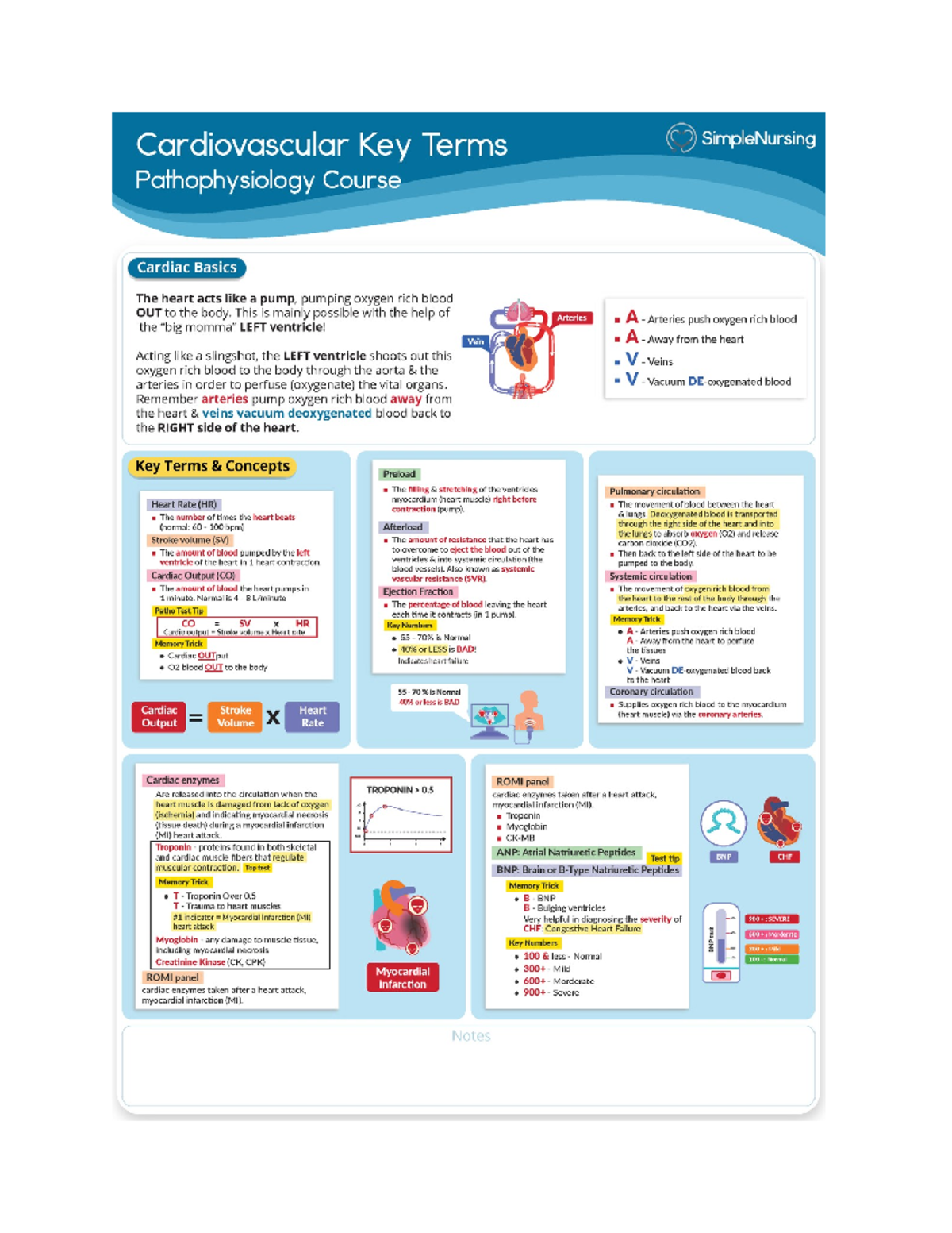 Cardiac Study Guides - 432 - Studocu