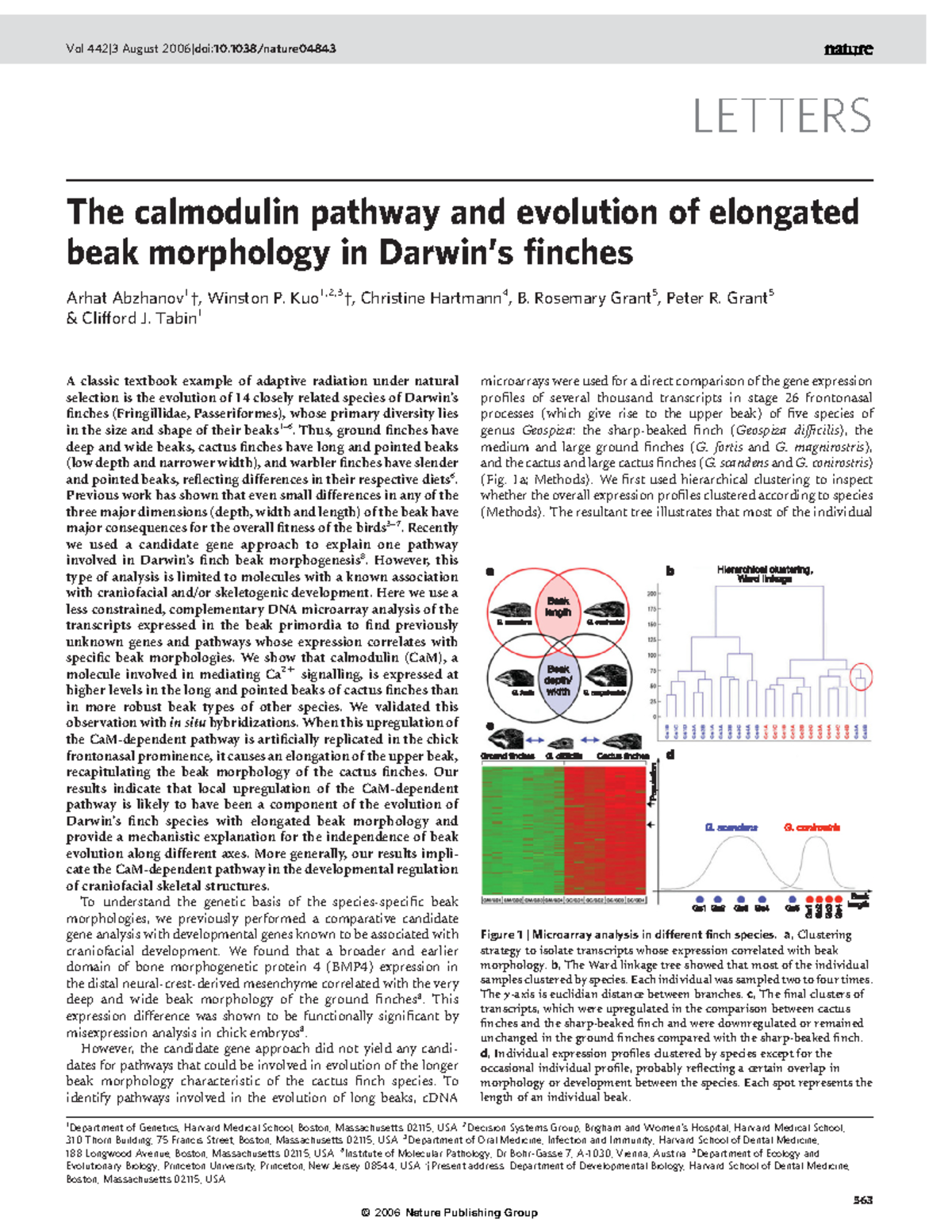 2. The calmodulin pathway and evolution of elongated beak morphology in ...