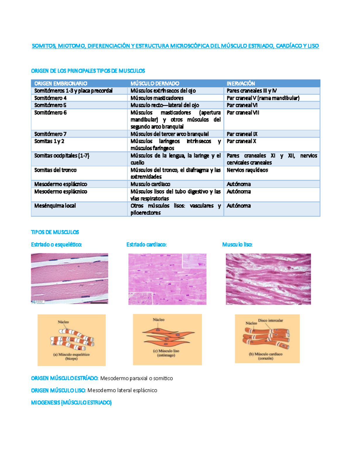 Embriologia e Histologia Musculo - SOMITOS, MIOTOMO, DIFERENCIACIÓN Y ...