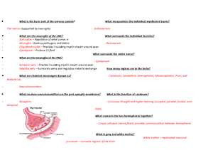 Bone Study Guide Pract. 2 (BIO 214) - BIOL 214 Skeletal System Study ...
