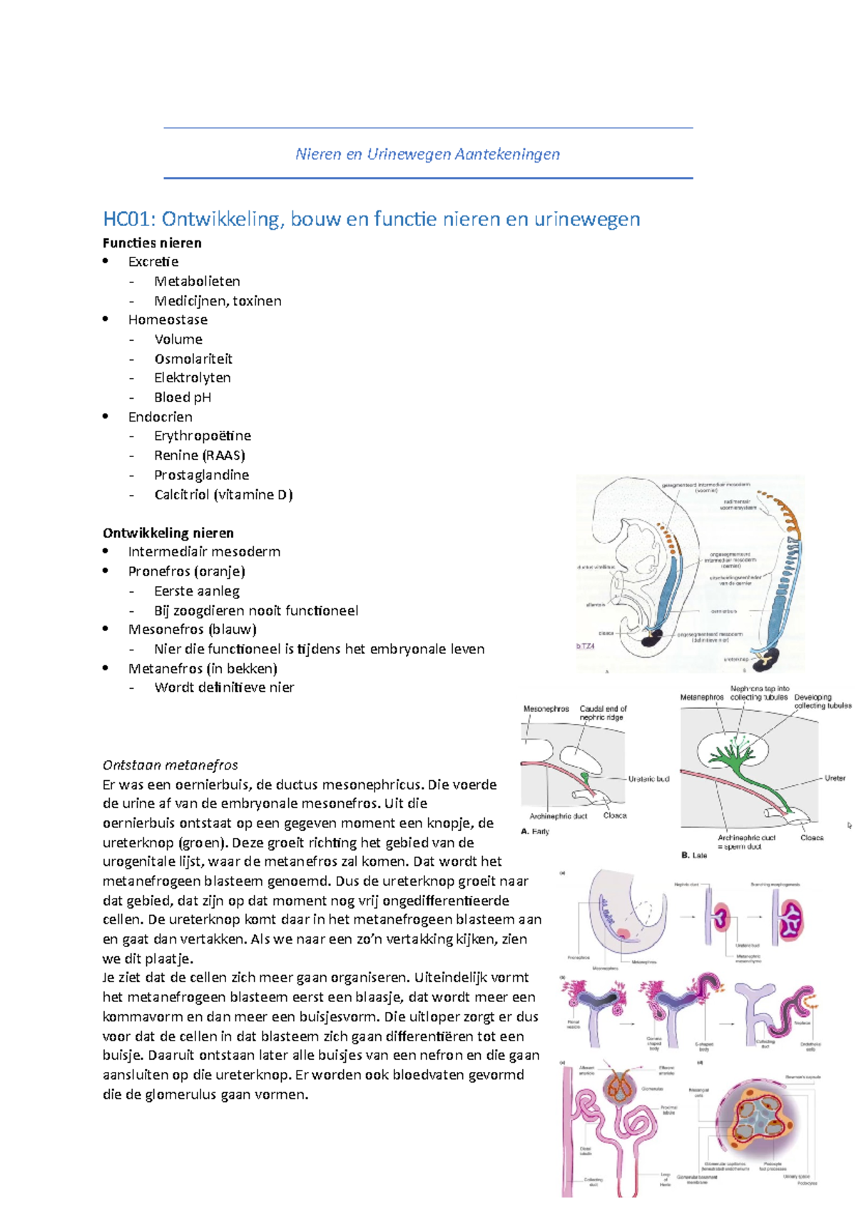 NU Aantekeningen - Nieren en Urinewegen Aantekeningen HC01 ...