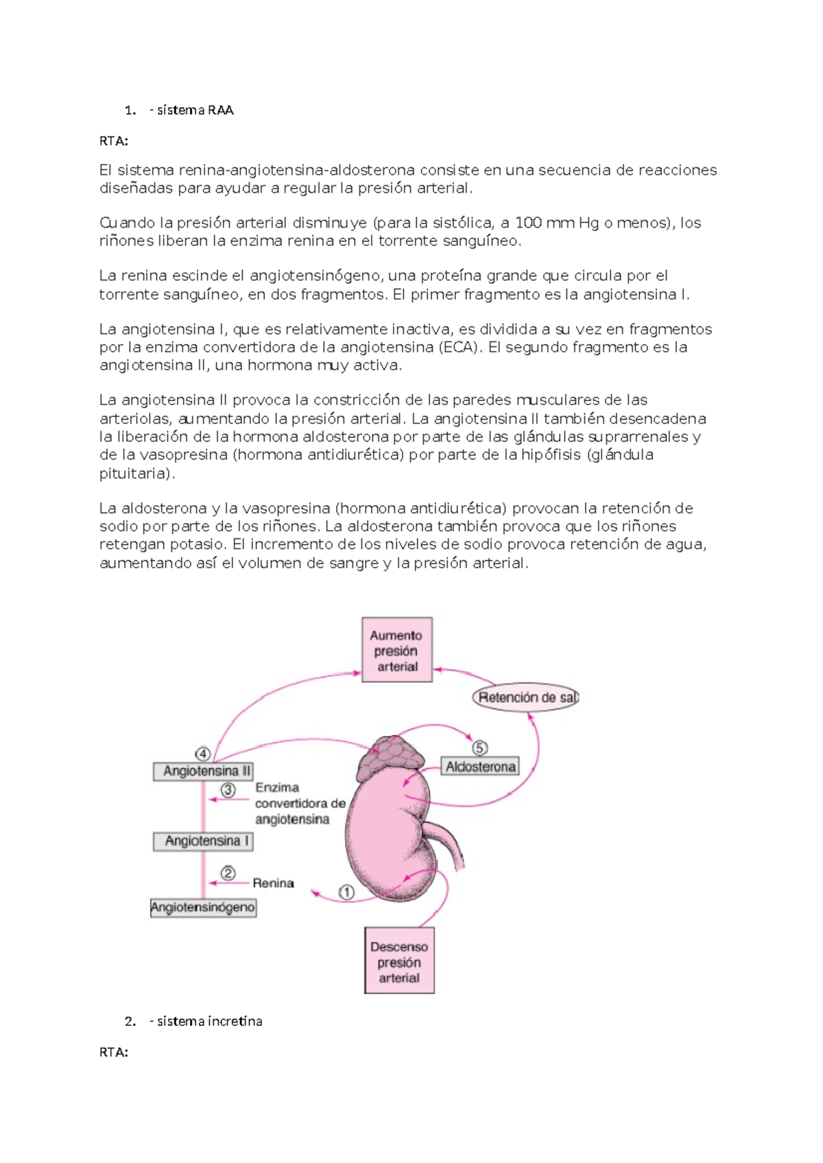 - sistema RAA - Taller de repaso de RAA - 1. - sistema RAA RTA: El ...