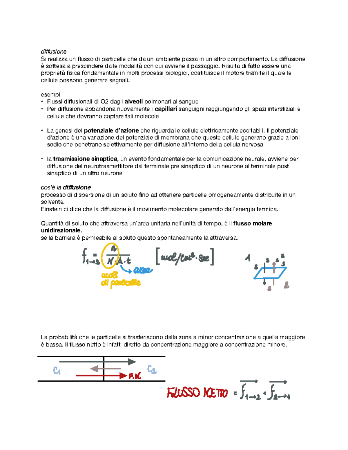 diffusione semplice e flusso osmotico - diffusione Si realizza un ...