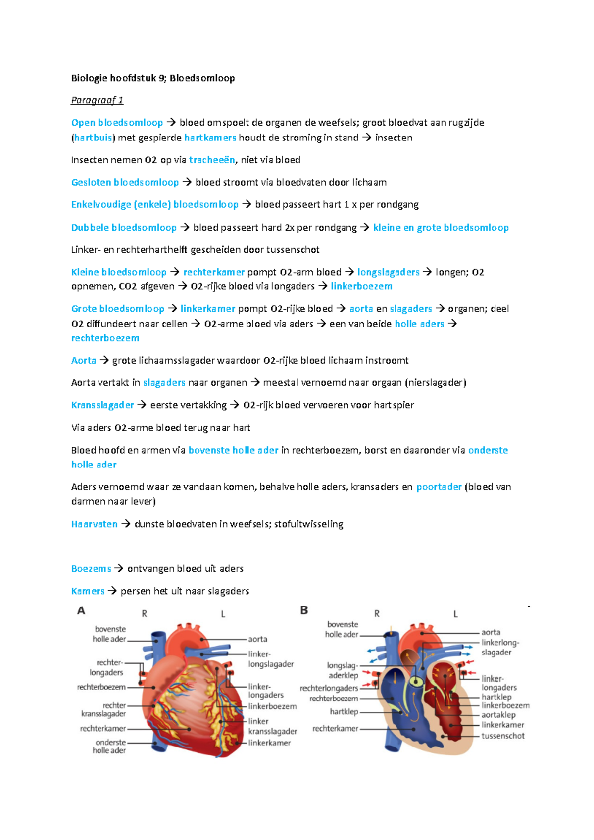 Biologie hoofdstuk 9; Bloedsomloop - Biologie hoofdstuk 9; Bloedsomloop ...