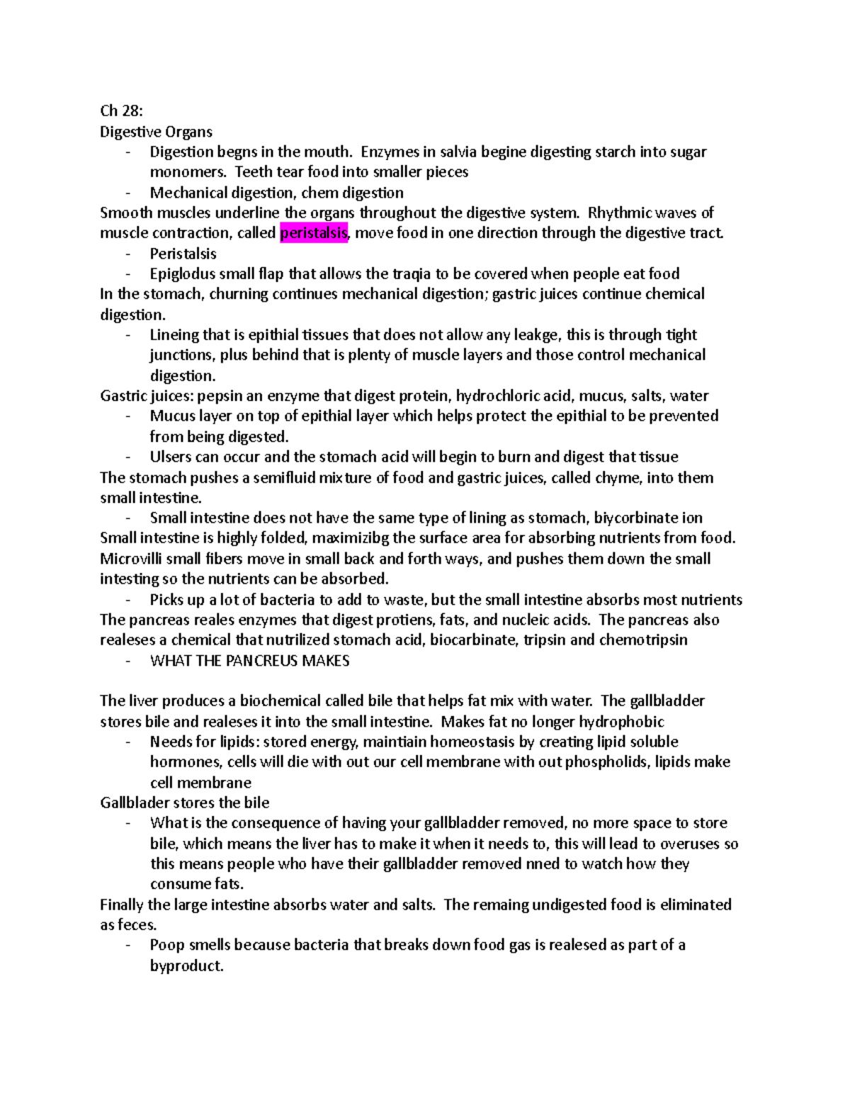 Ch 28 Final - helps study - Ch 28: Digestive Organs - Digestion begns ...