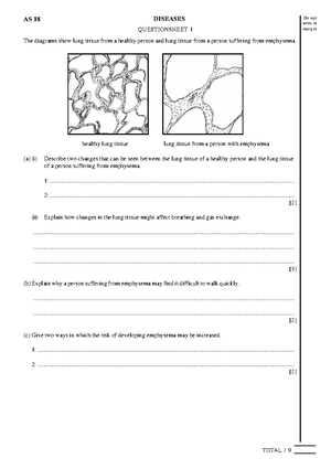 DNA AND RNA - quiz - write inDo not margin Read through the following ...