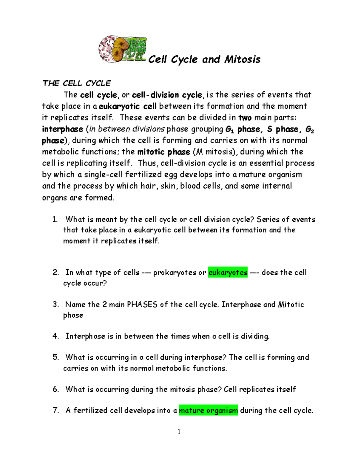Copy of cell-cycle-mitosis - Cell Cycle and Mitosis THE CELL CYCLE The ...