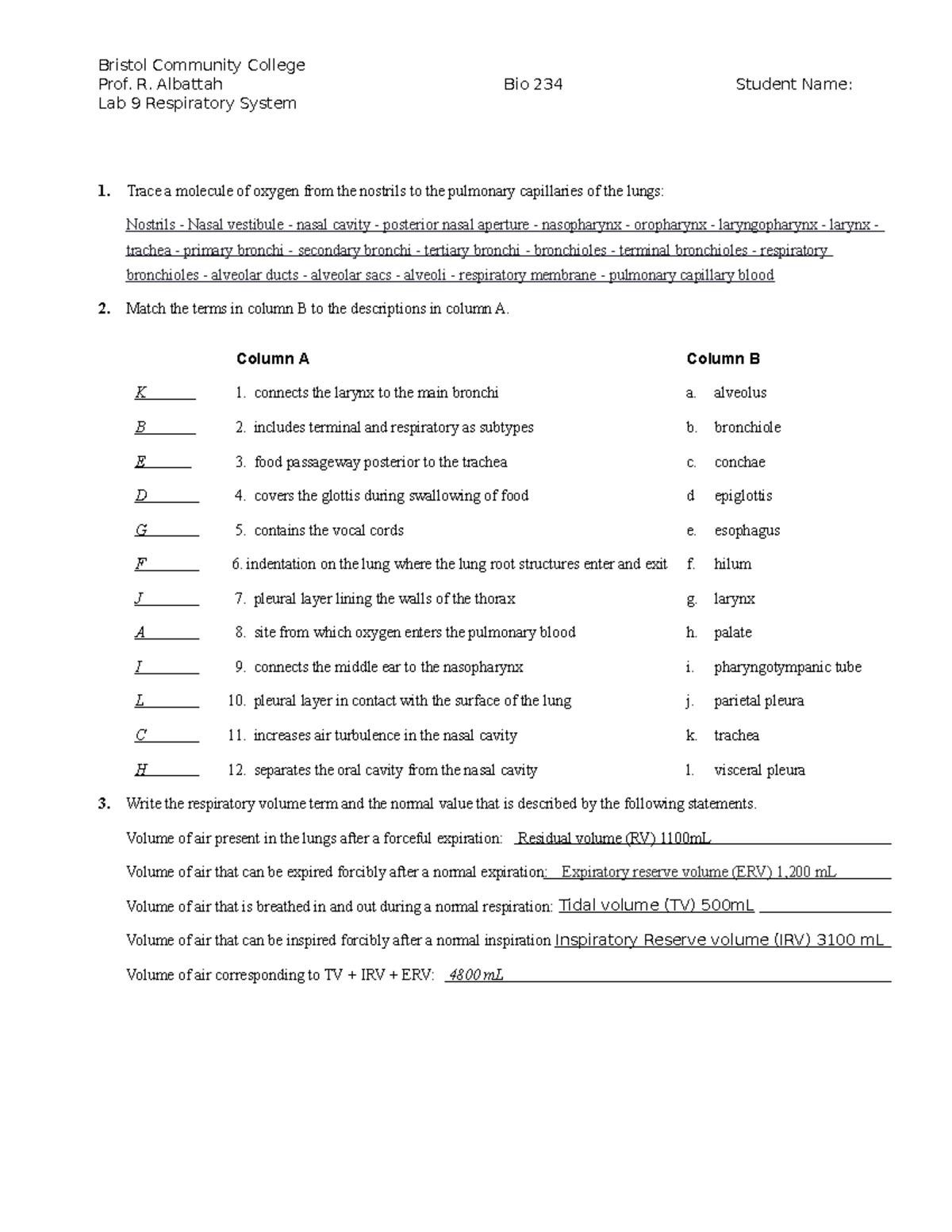 Assignment 9 Respiratory System - Bristol Community College Prof. R ...