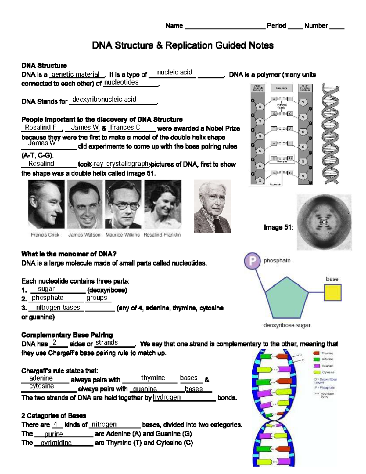 DNA Structure & Replication GN - genetic material nucleic acid ...
