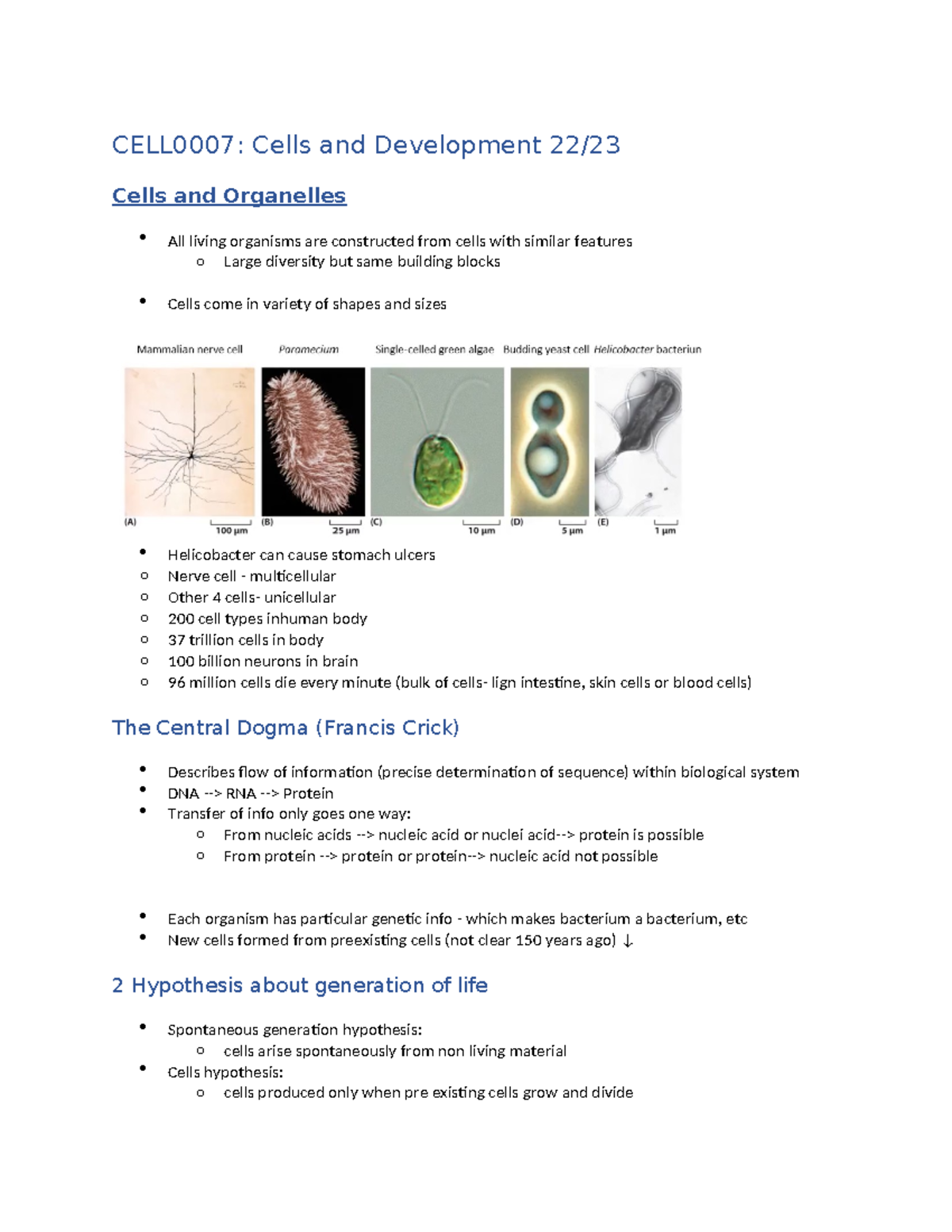 CELL0007 notes - CELL0007: Cells and Development 22/ Cells and ...