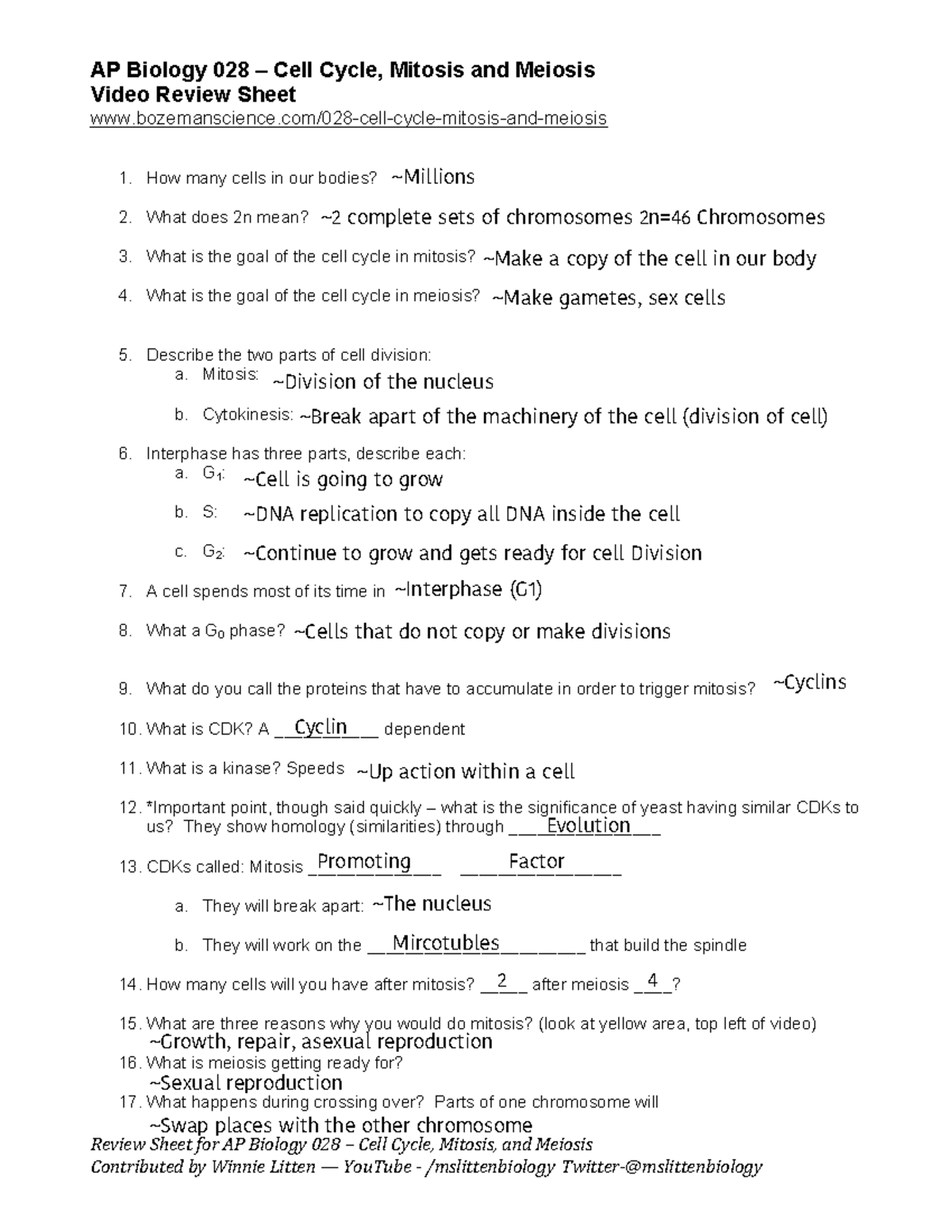 AP+Bio-028+Cell+Cycle,+Mitosis+and+Meiosis+Worksheet-WL - - Studocu