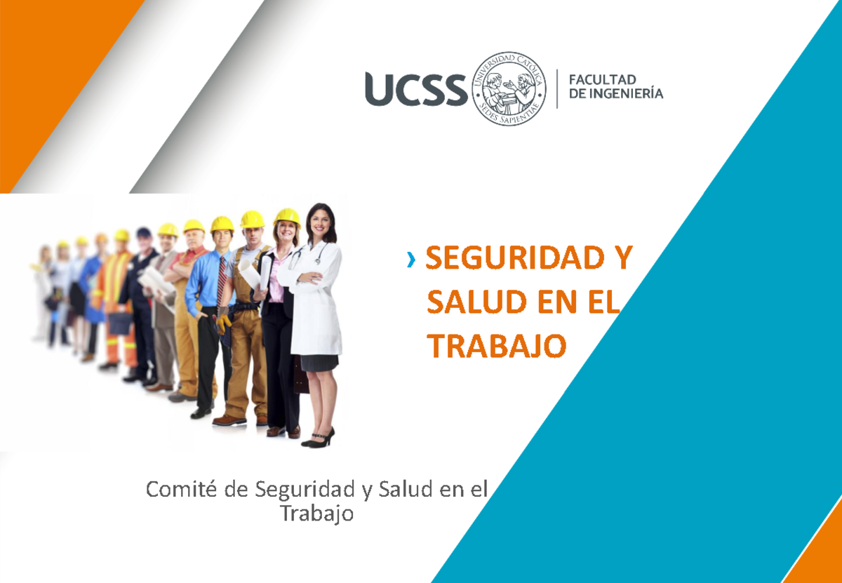 Tema 4 - Comité SST - apuntes de clases en pdf - › SEGURIDAD Y SALUD EN ...