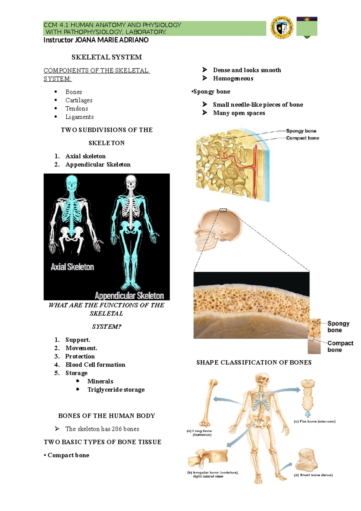CCM-4 SKELETAL SYSTEM - WITH PATHOPHYSIOLOGY, LABORATORY. Instructor JOANA MARIE ADRIANO ...
