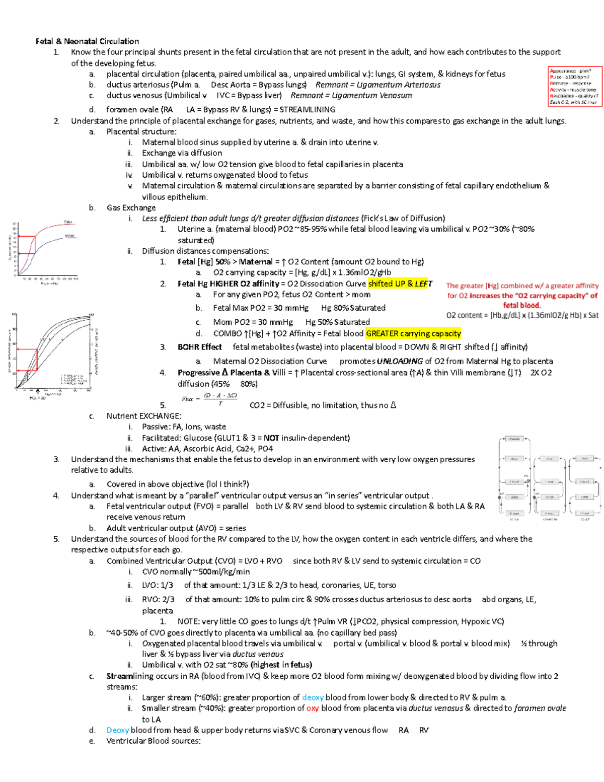 PHYS L1 Fetal Circulation - Fetal & Neonatal Circulation 1. Know the ...