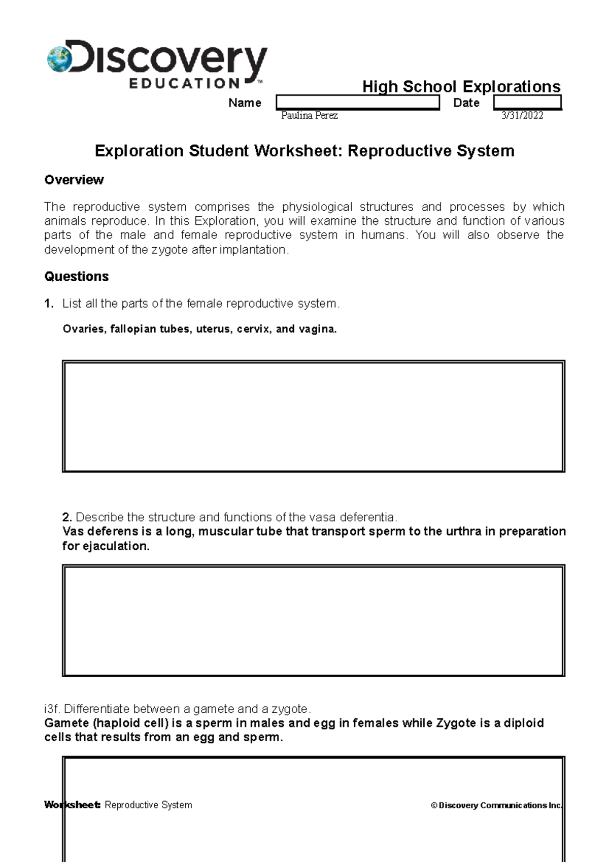 Reproductive System Student Worksheet - Anatomy - ZOO 3731L - FIU - Studocu