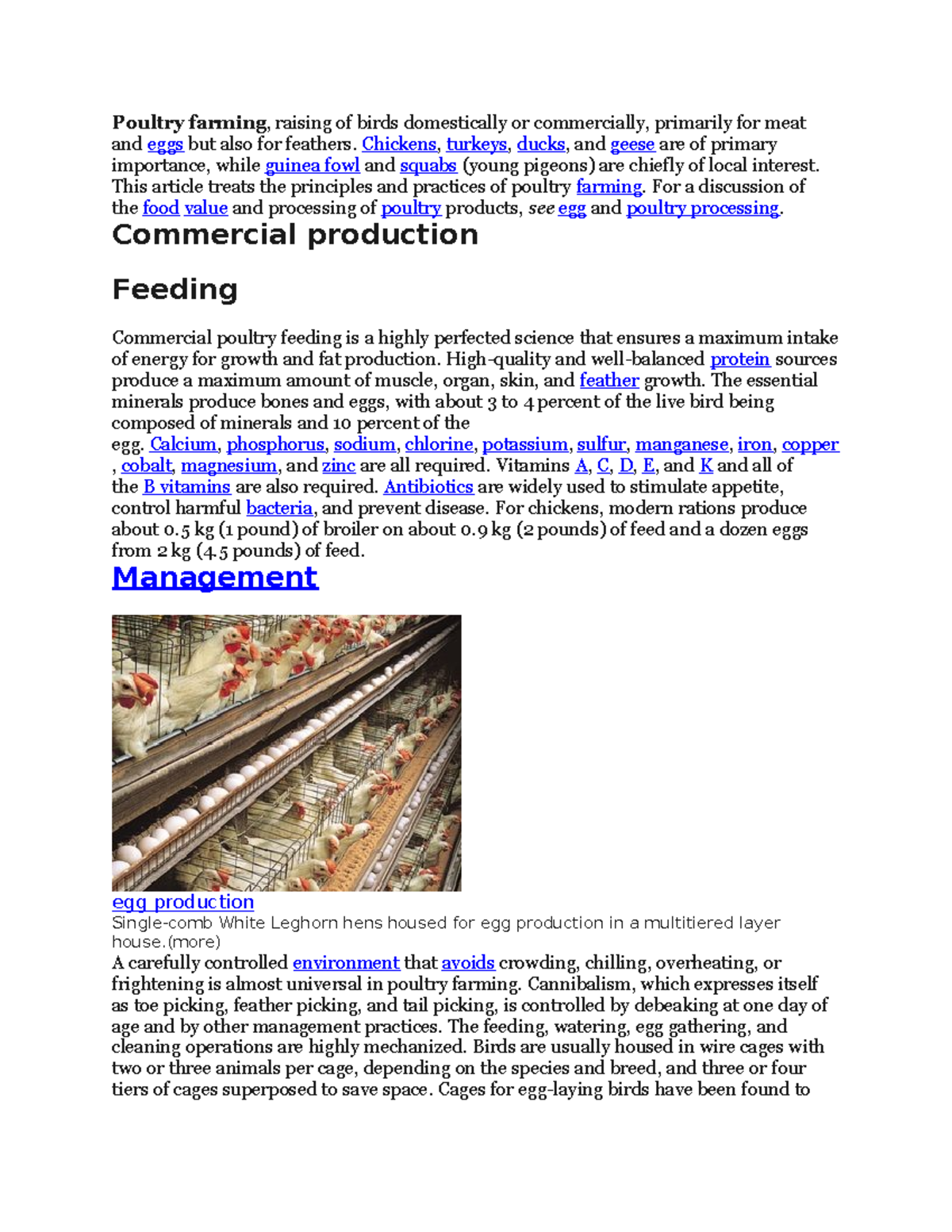 Poultry farming project 2 - Poultry farming, raising of birds ...