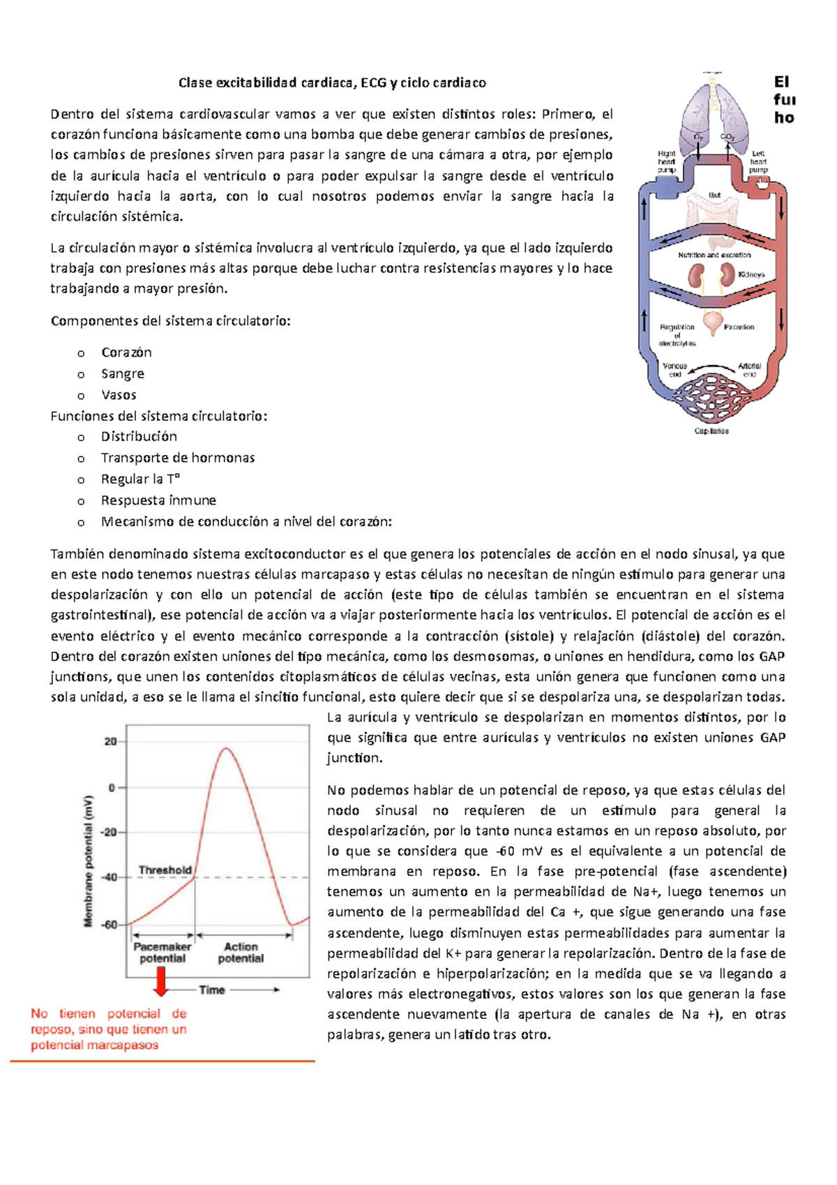 5. Excitabilidad cardiaca - Clase excitabilidad cardiaca, ECG y ciclo ...