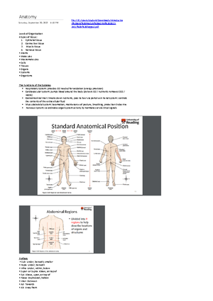 Anatomy and Physiology week 1 - W1: Intro to anatomy Saturday ...