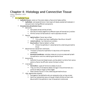 HSC 214- Chapter 1 Outline - Chapter 1: First Look At Anatomy Tuesday ...