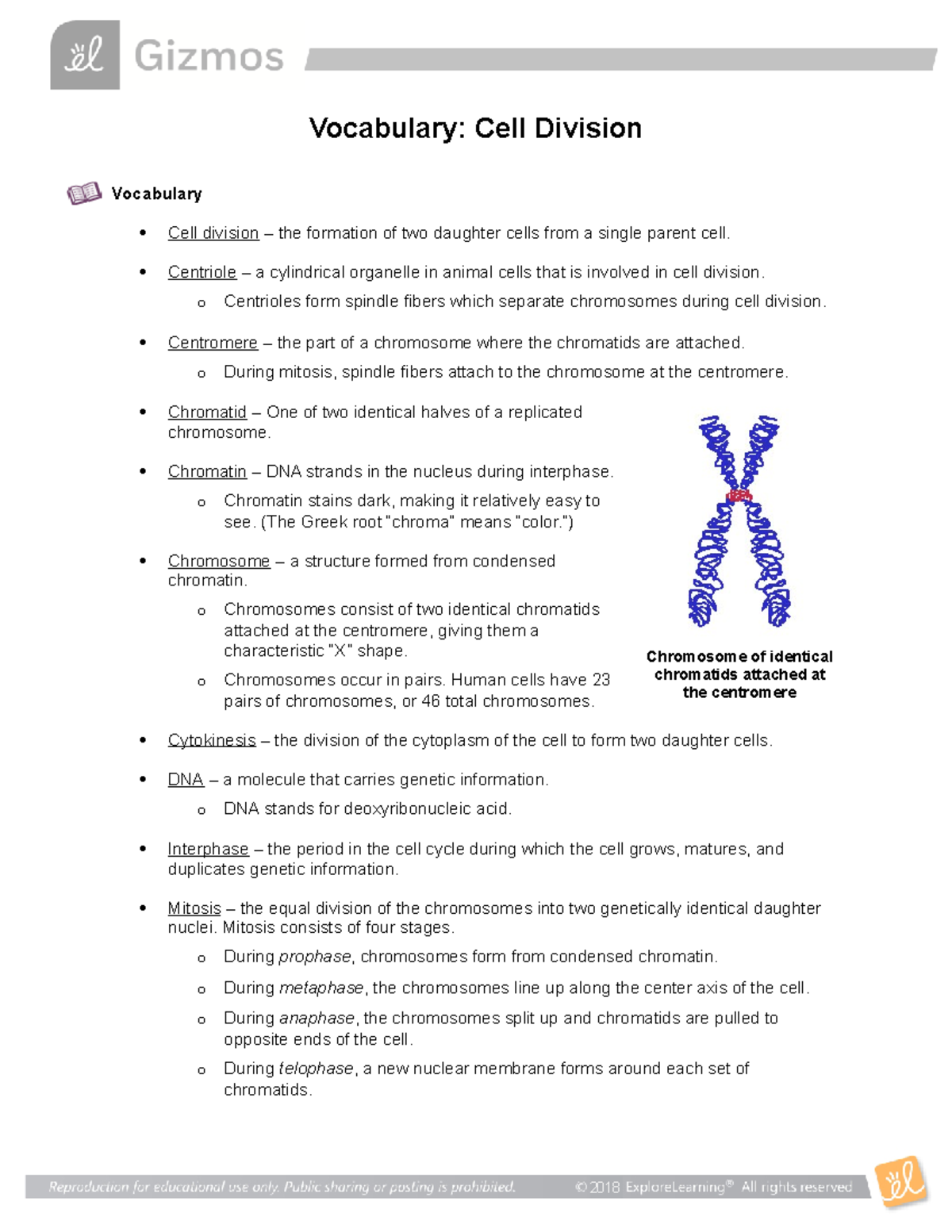 Cell Division Vocab this is just for free trial pls upload for me 2022 ...