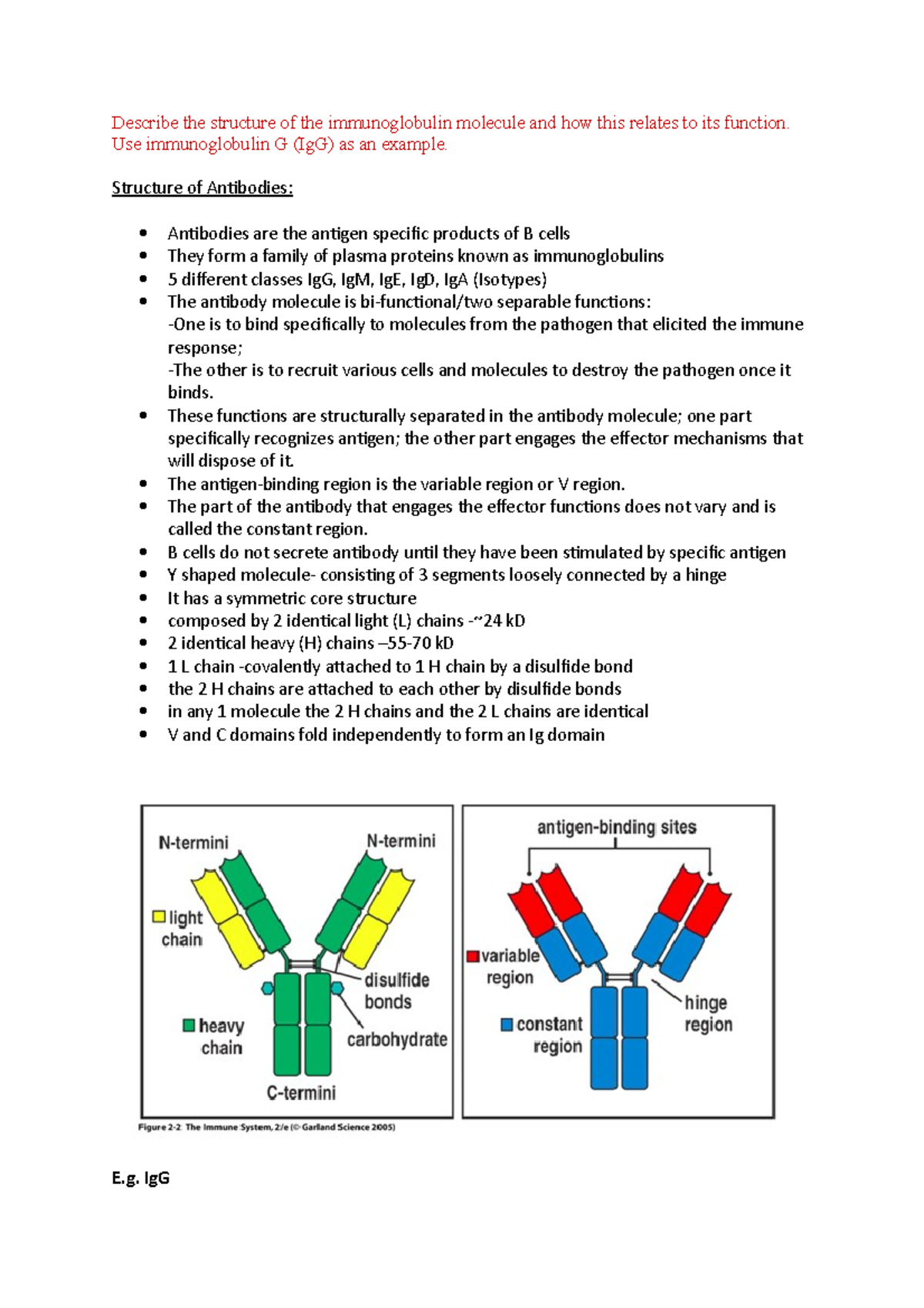 BC3005 Structure of the immunoglobulin molecule and how this relates to ...