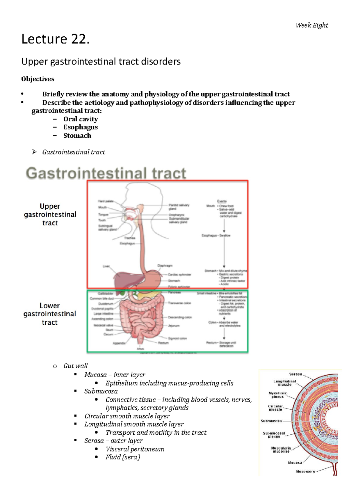HUBS2505 Lecture 22 - Summary Notes - Lecture 22. Upper ...