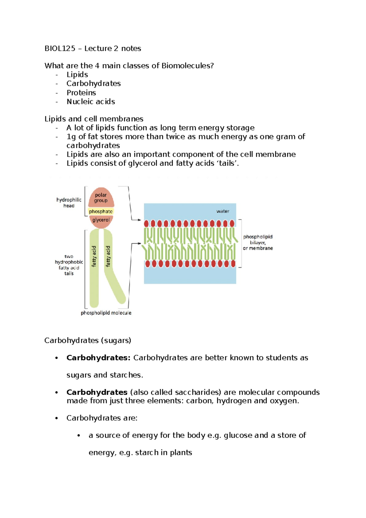 BIOL125 - week - BIOL125 – Lecture 2 notes What are the 4 main classes ...