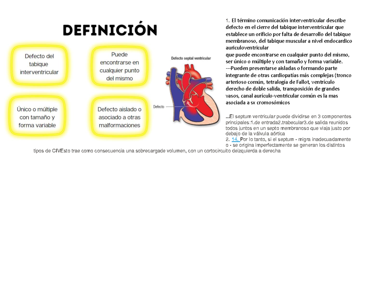 Desarrollo Del Tabique Interventricular
