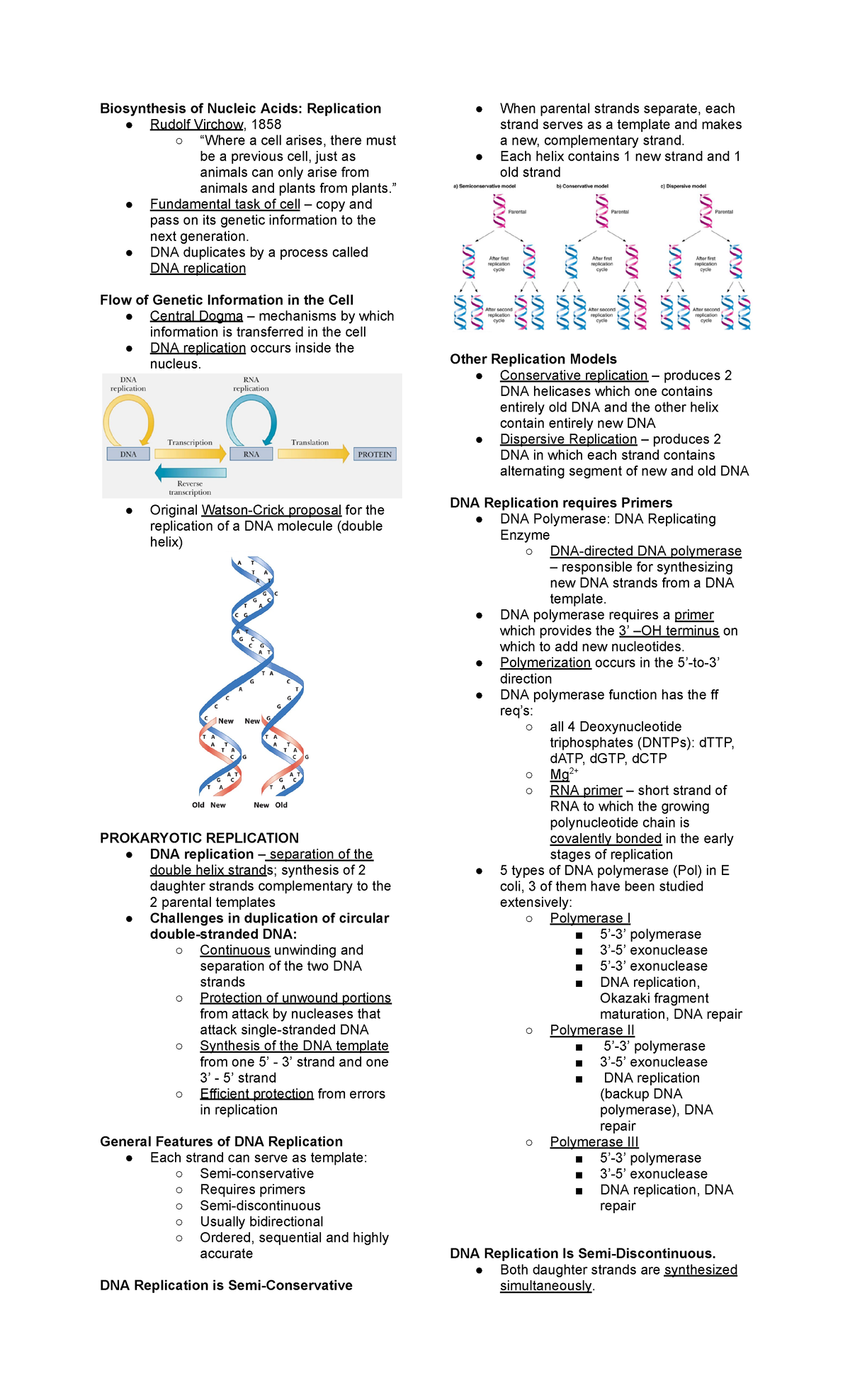 MT 104 Transes - Cytogenetics Reviewer - Biosynthesis of Nucleic Acids ...