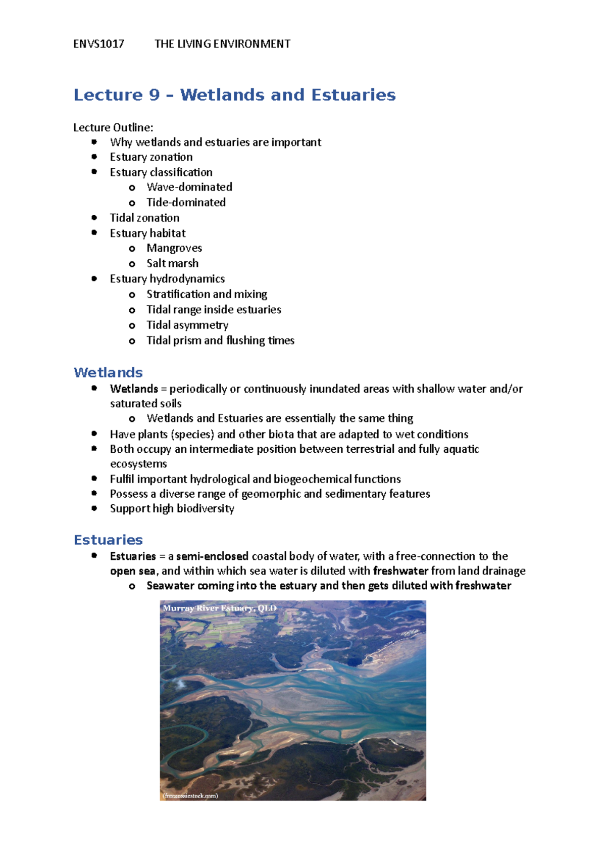 Lecture 9 – Wetlands and Estuaries - Lecture 9 – Wetlands and Estuaries ...