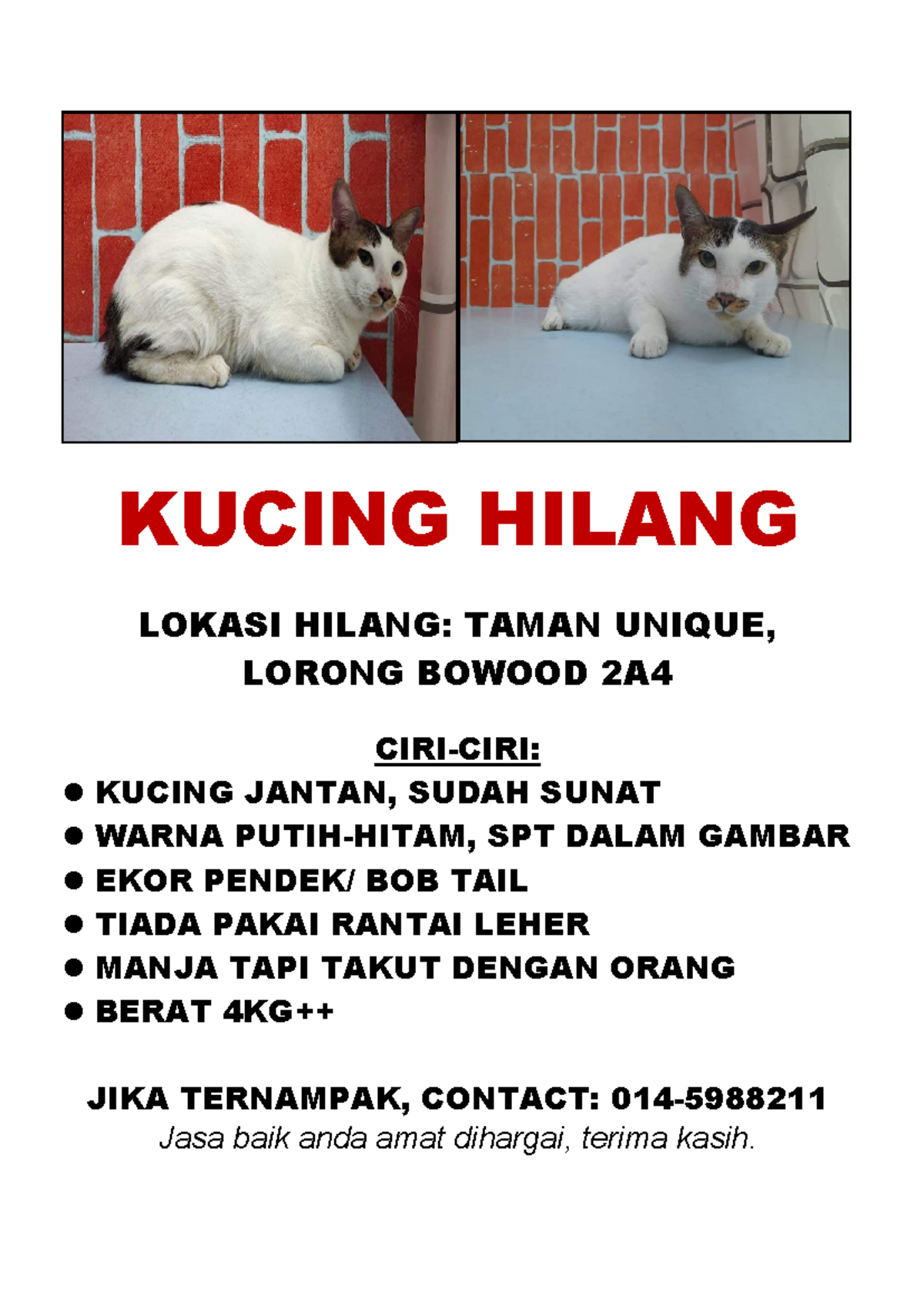 Kucing Hilang - Financial in Accounting - KUCING HILANG LOKASI HILANG ...