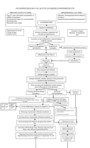 PCAP-Pathophysio - Pathophysiology of Pediatric Community Acquired ...