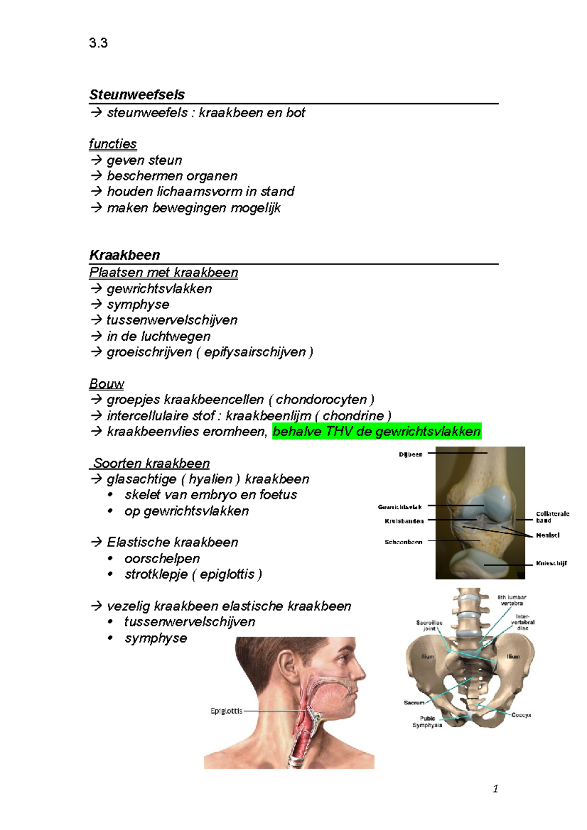 Beenderstelsel samenvatting - Steunweefsels steunweefels : kraakbeen en ...