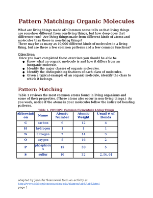 2020 - cell organelles worksheet ch2 - Biology Name: ANSWER KEY Period: Answer Key - 2020 - Cell ...