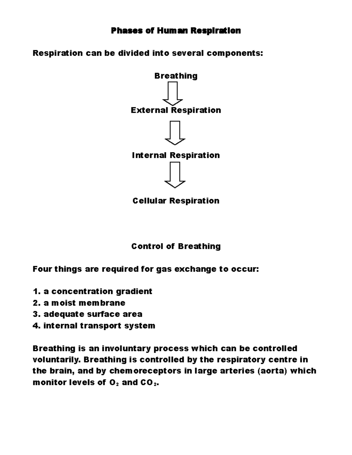 Phases of Human Respiration - Phases of Human Respiration Respiration ...
