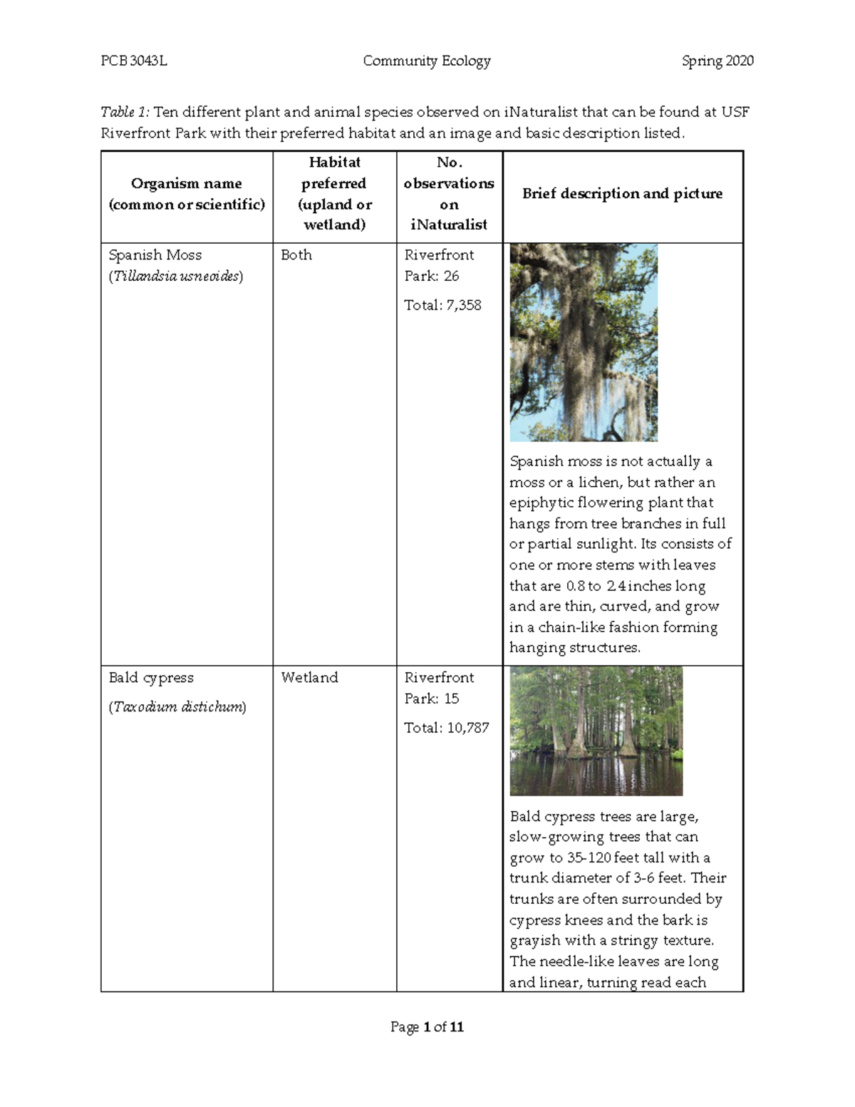 Schwartz Community Ecology - Table 1: Ten different plant and animal ...