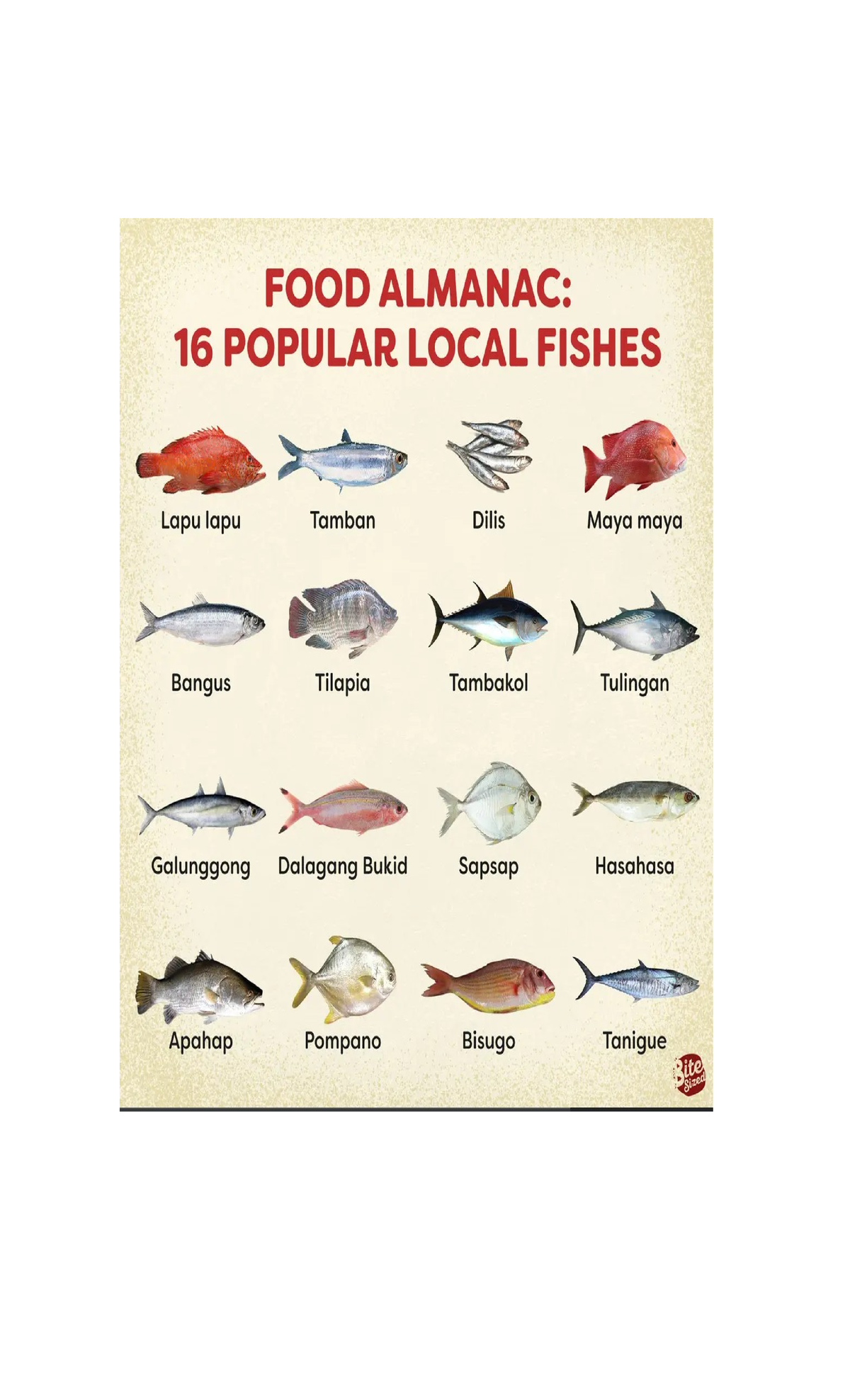 Maymay - hhdkfucxhbjj - FOOD ALMANAC: 16 POPULAR LOCAL FISHES Lapu lapu ...