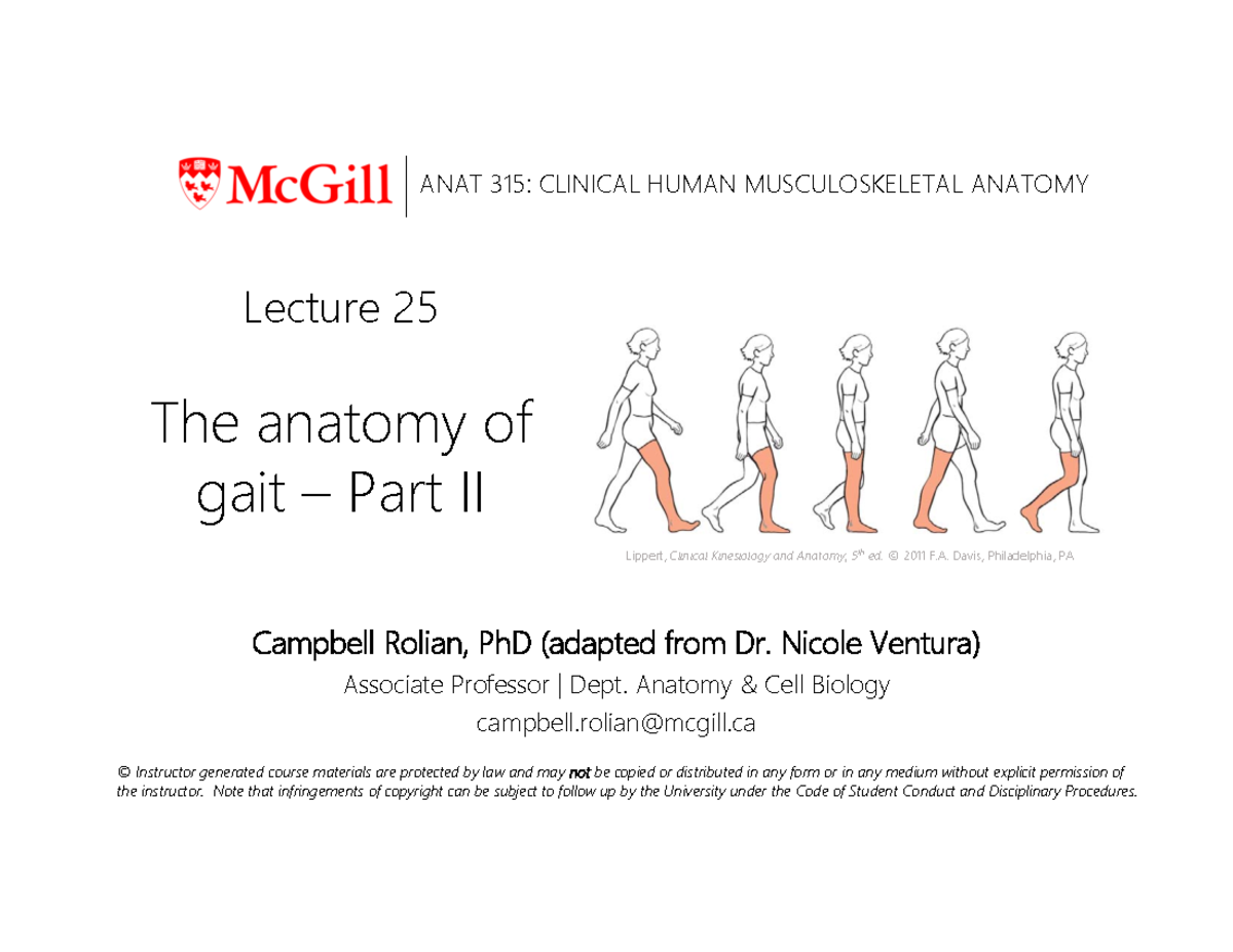 Lec 25 - Anatomy of Gait - Class lecture slides - Lecture 25 The ...