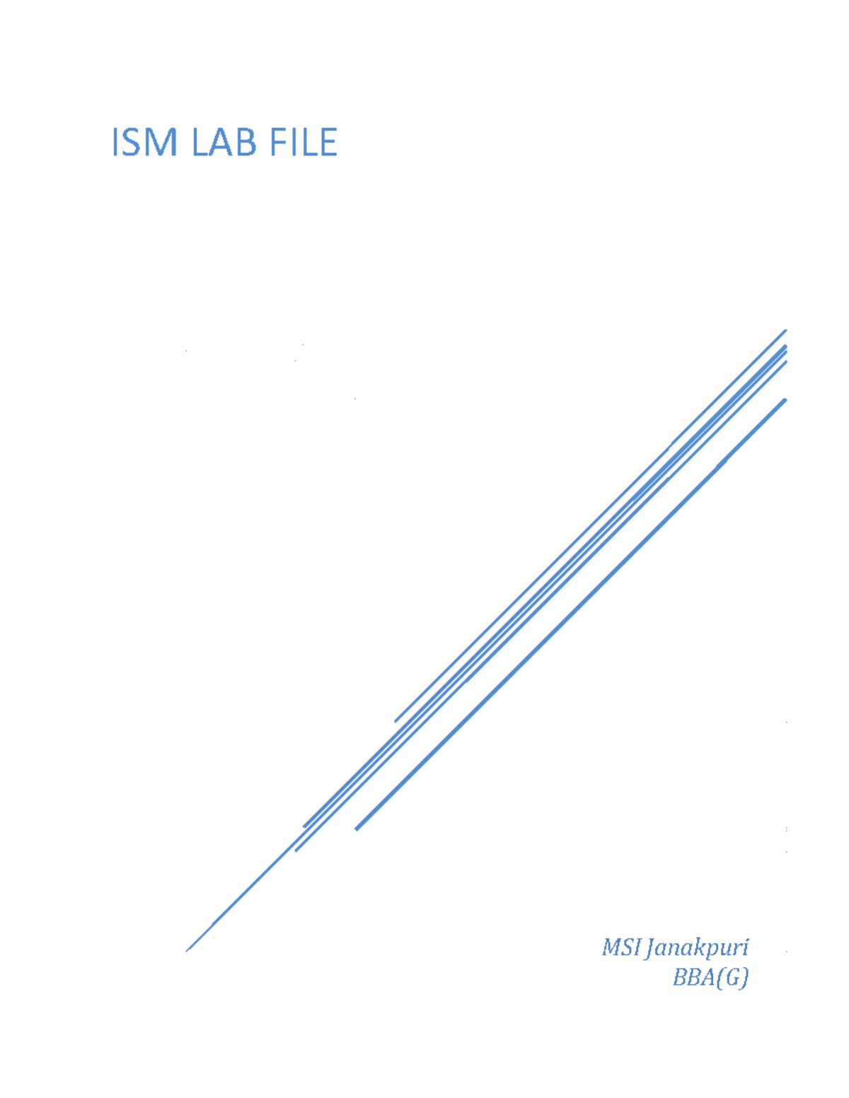 S. Vignesh - ism lab file - ISM LAB FILE MSI Janakpuri BBA(G) ASSIGNMENT 1 Q: Overview of Data ...