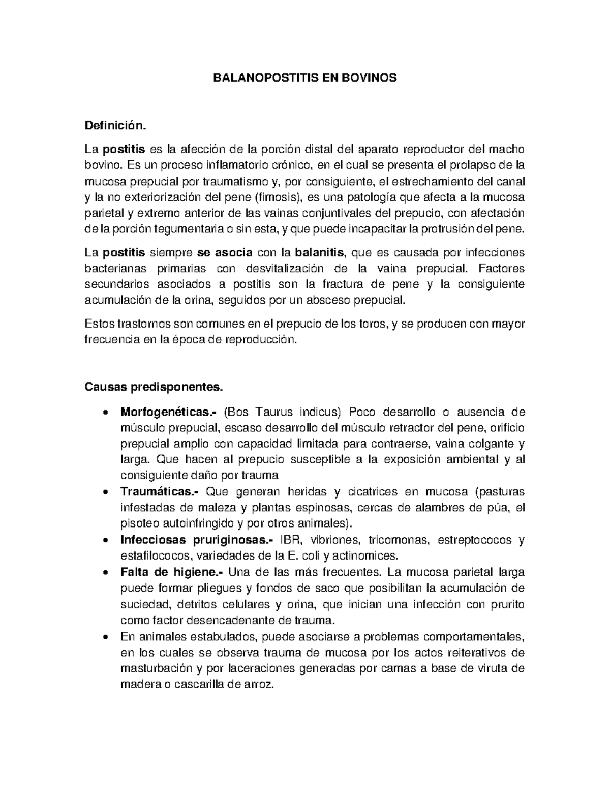 Balanopostitis EN Bovinos - BALANOPOSTITIS EN BOVINOS Definición. La ...