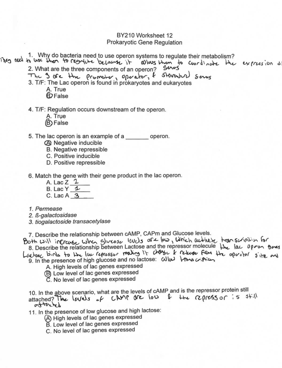 BY 210 Worksheet #12 - BY 210 - Studocu