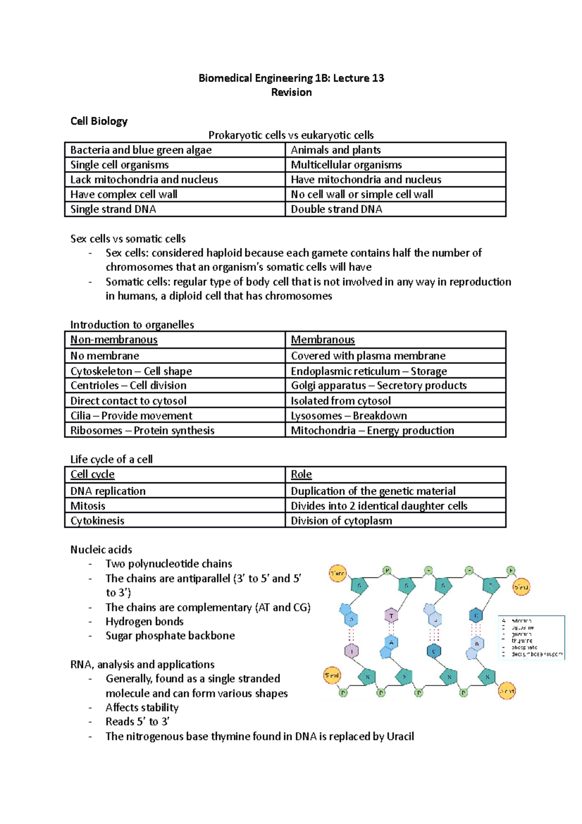 AMME1961 Exam notes - Biomedical Engineering 1B: Lecture 13 Revision ...