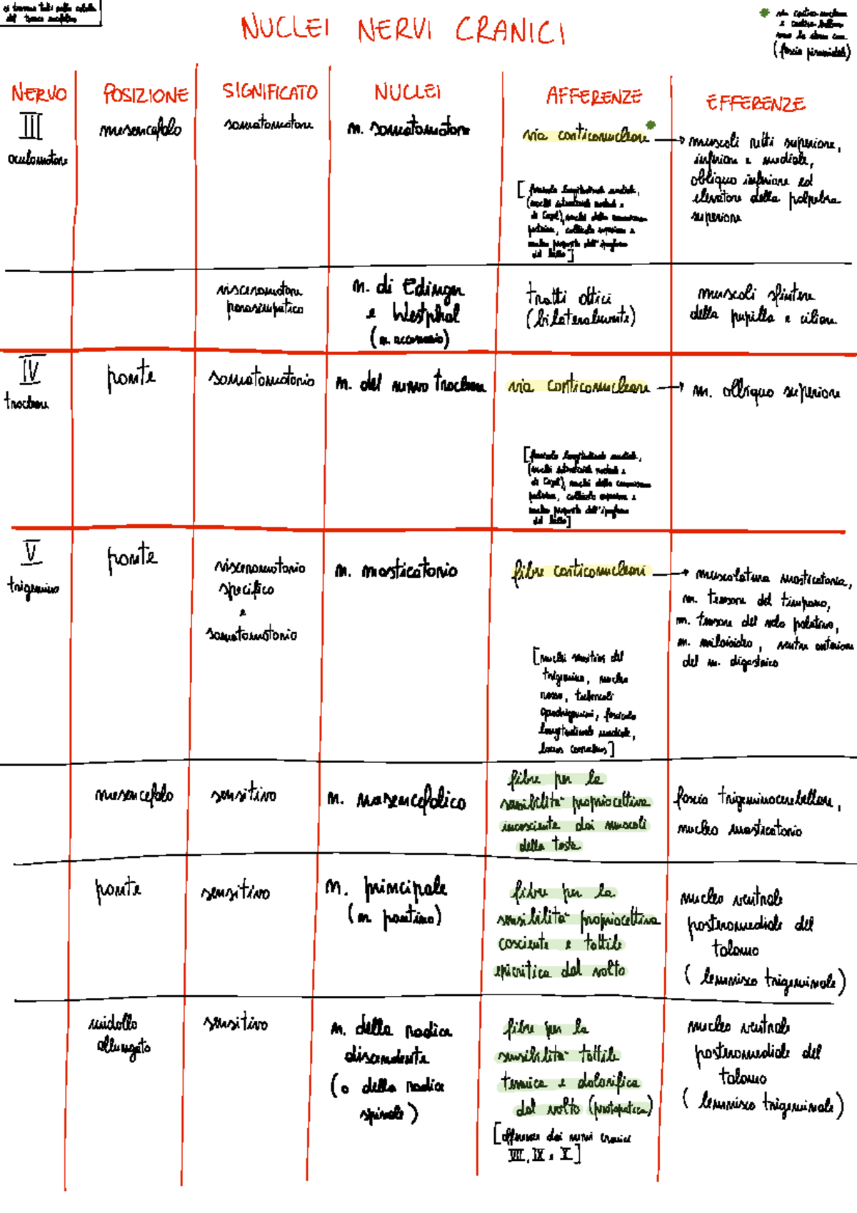 Schema Nuclei Nervi Cranici - Anatomia Umana - Studocu