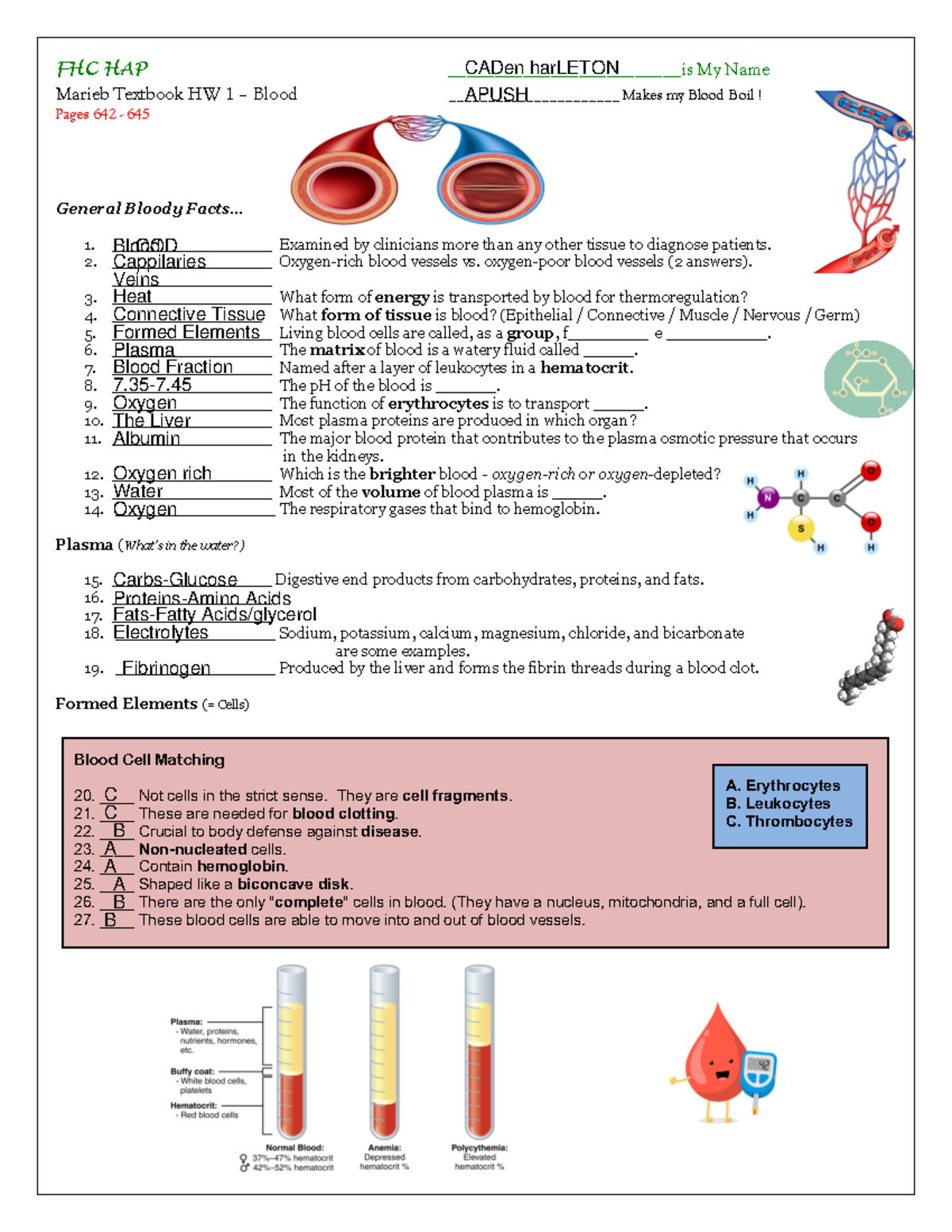 Blood Text HW I Student 2022 - FHC HAP _________________________is My ...