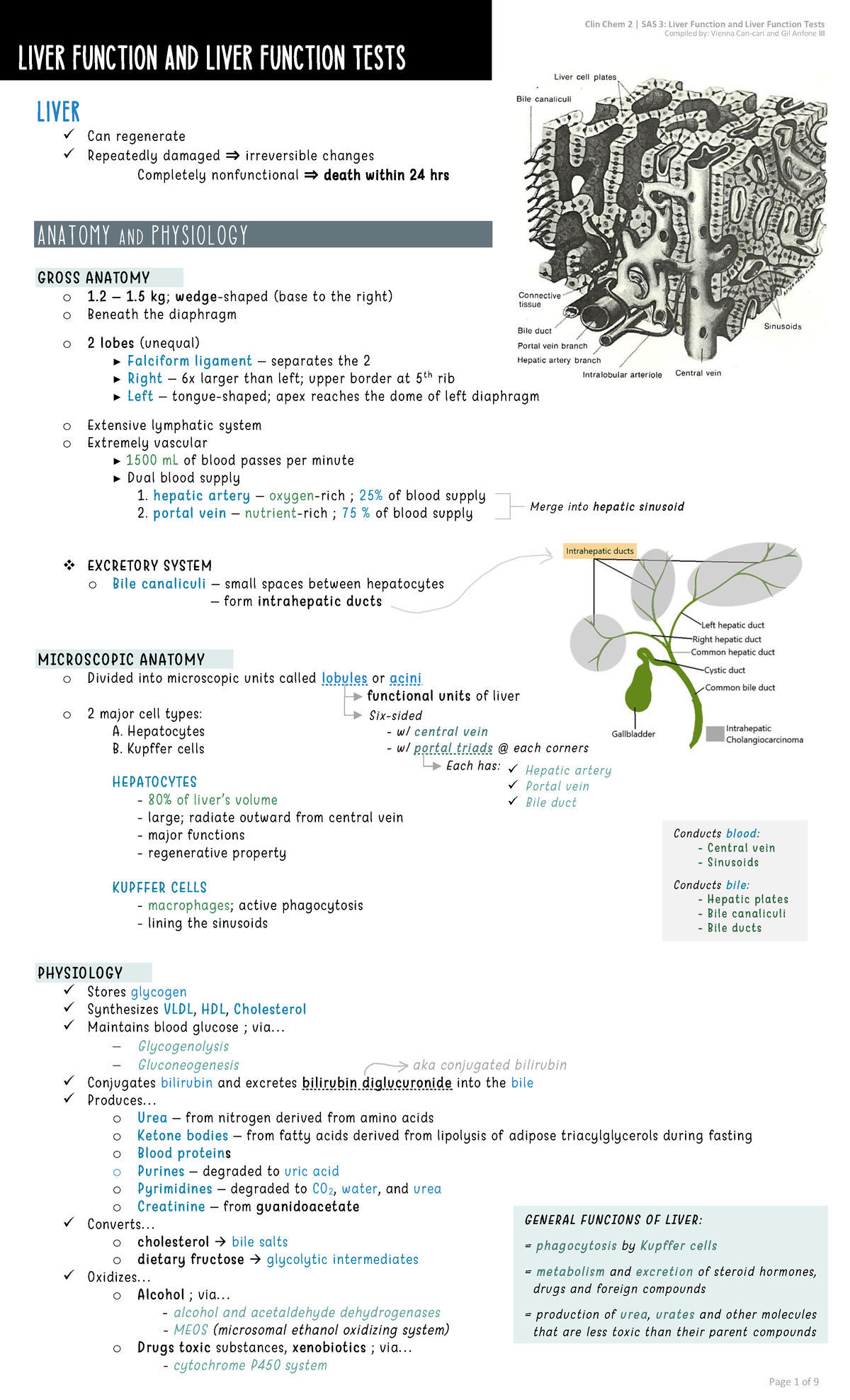 Clinical Chemistry 2 - Liver Function - LIVER FUNCTION and LIVER ...