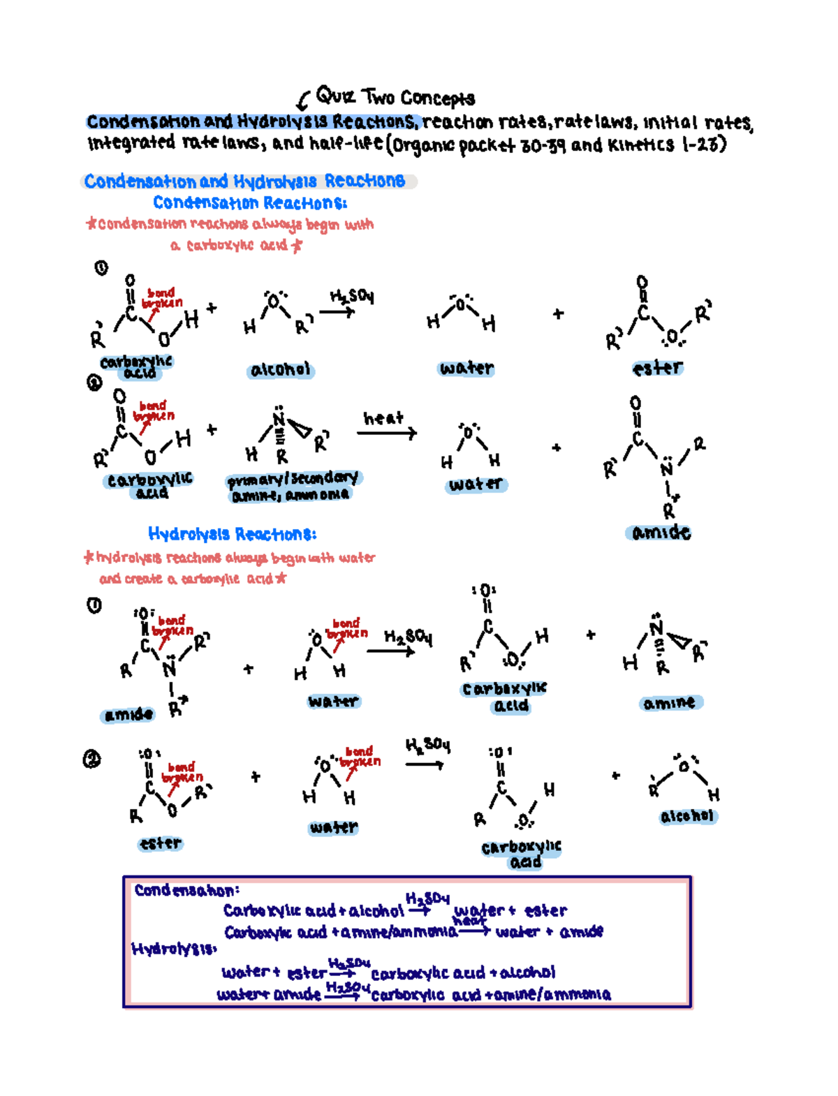 Condensation and Hydrolysis, Initial Rates, Reaction Rates, Rate Laws ...