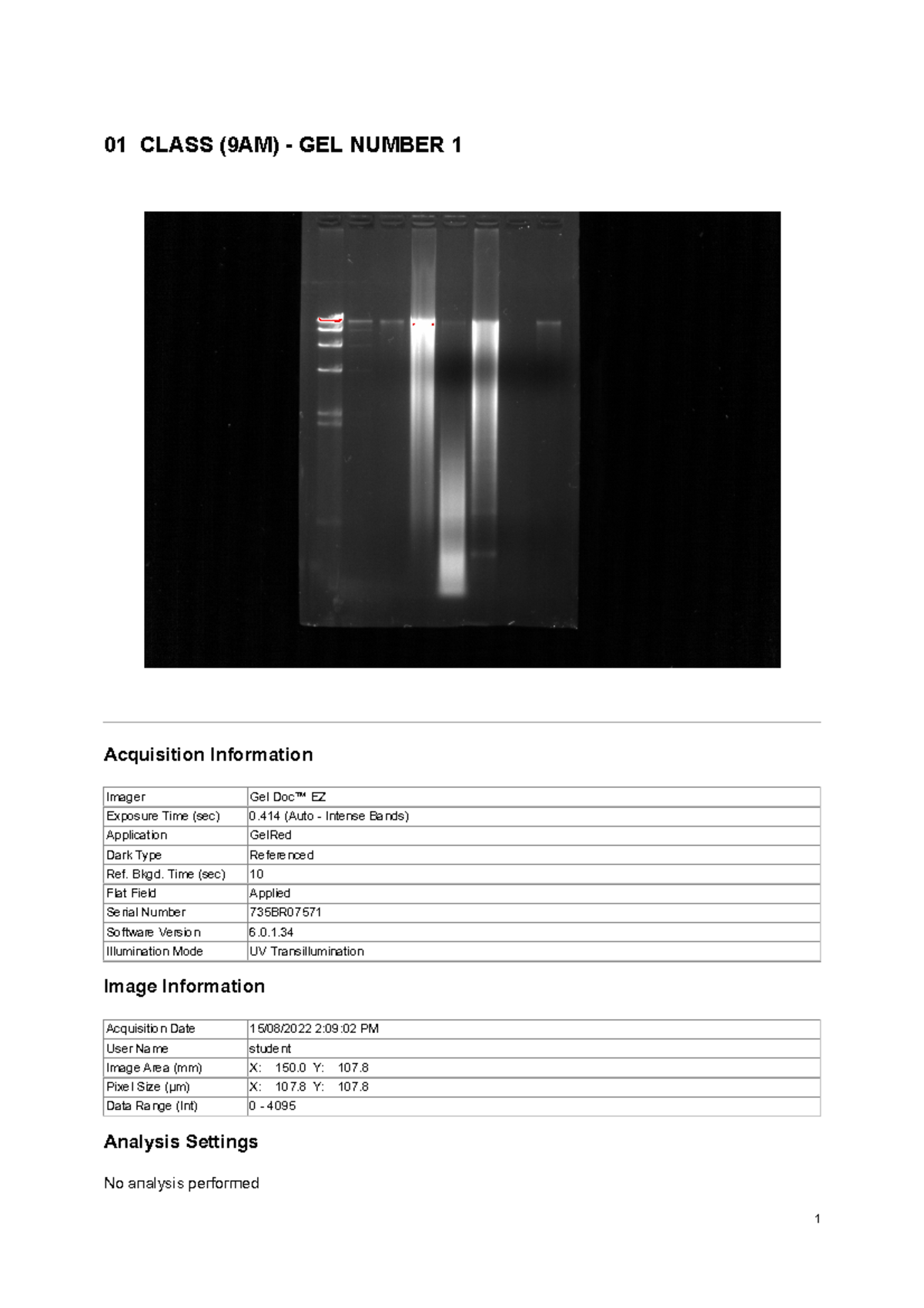 91178 Experiment 1 Class Results 2022-2 - 01 CLASS (9AM) - GEL NUMBER 1 ...