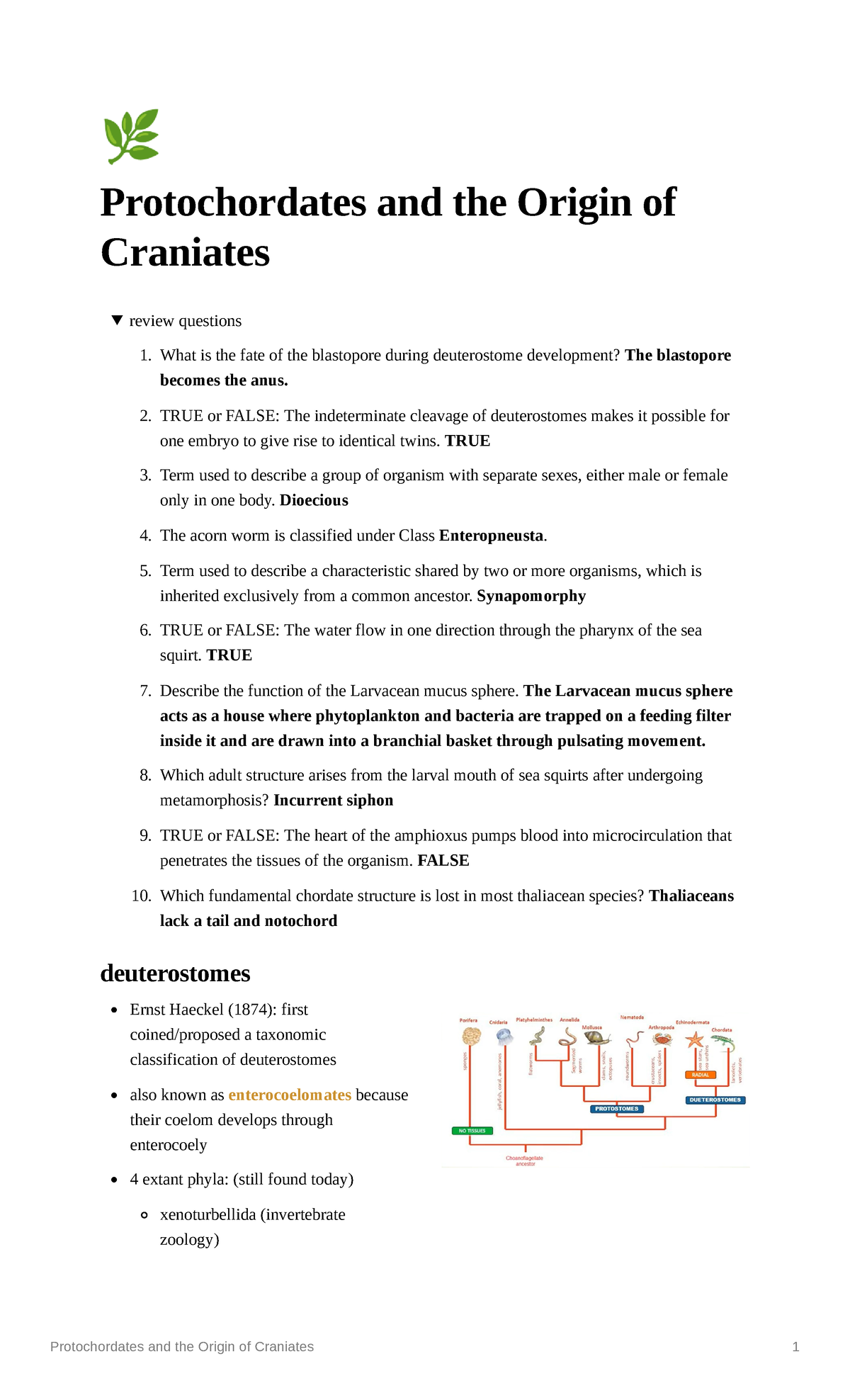 Protochordates and the Origin of Craniates - 4 Protochordates and the ...