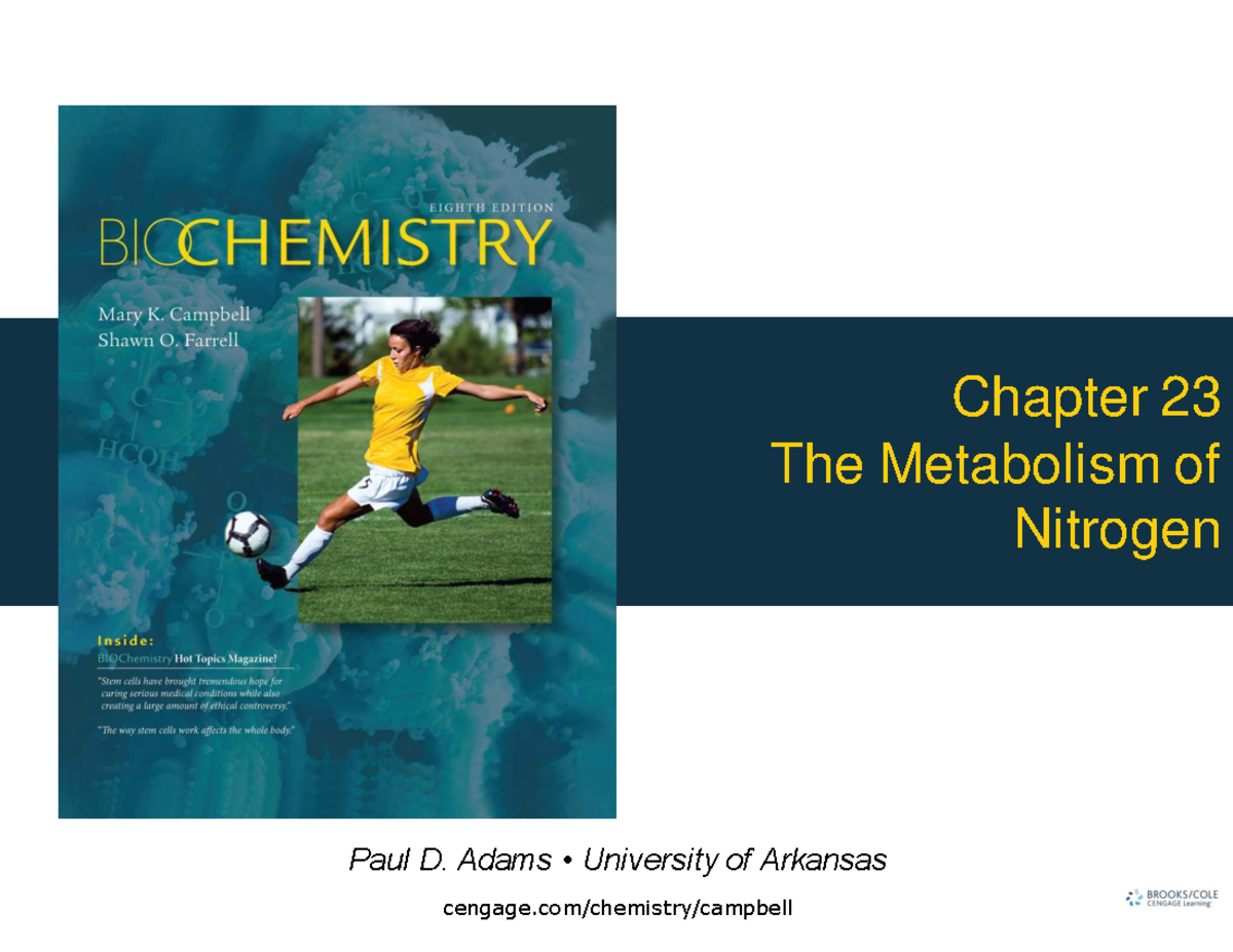 10 Nitrogen Cycle 1066343566 - Paul D. Adams • University of Arkansas ...