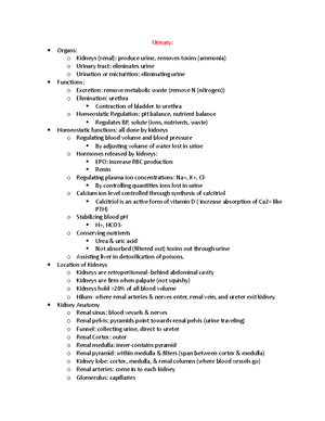 Anatomy and Physiology Exam 2 Study Guide - Focus on for Exam 2 ...